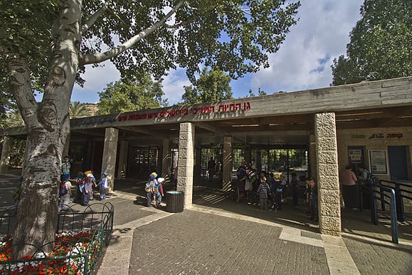 Der Jerusalemer Zoo - All About Jerusalem